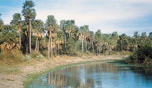 Chaco Argentina: Clima, turismo, costumbres, ciudades y más