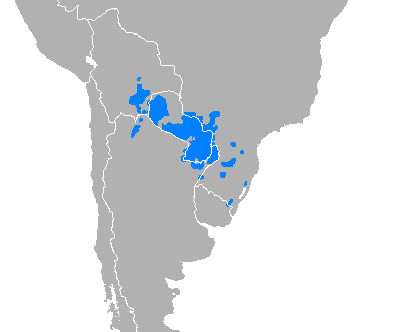 Idioma de Argentina: todo lo que necesita saber sobre el tema
