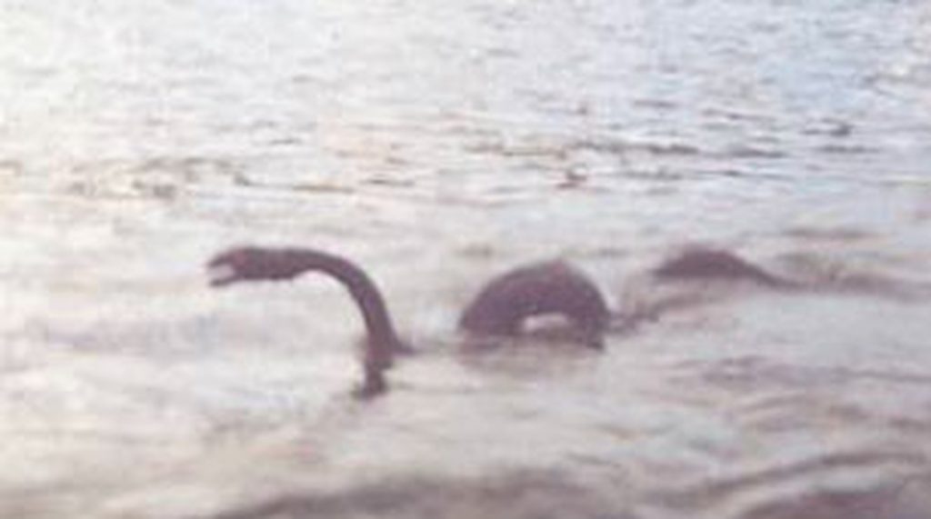 Lago Nahuel Huapi: caracteristicas, leyendas, ubicación y más