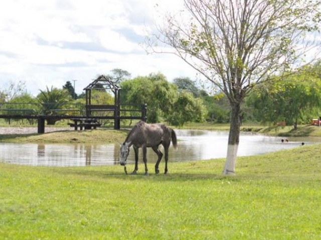 María Grande Entre Ríos: Ubicación, clima, lugares turísticos y más