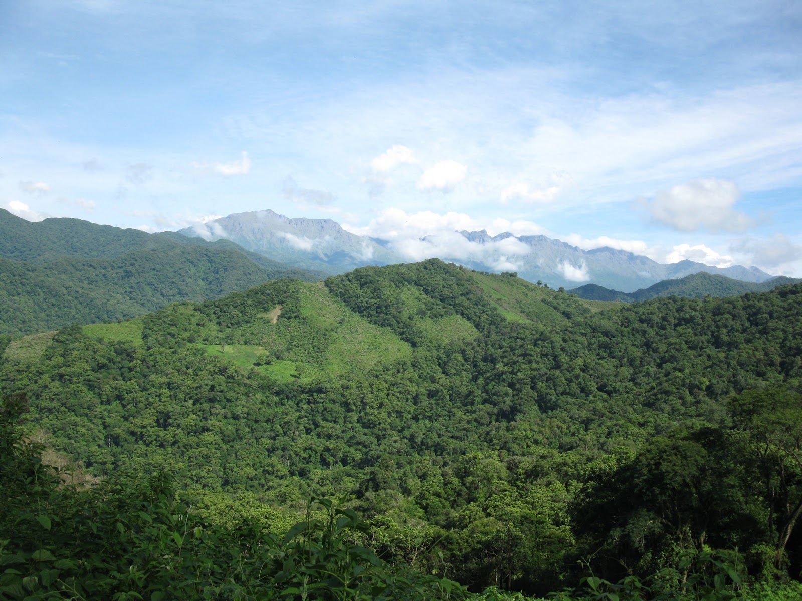 Parque Nacional Baritú: historia, clima, turismo, ubicación y más