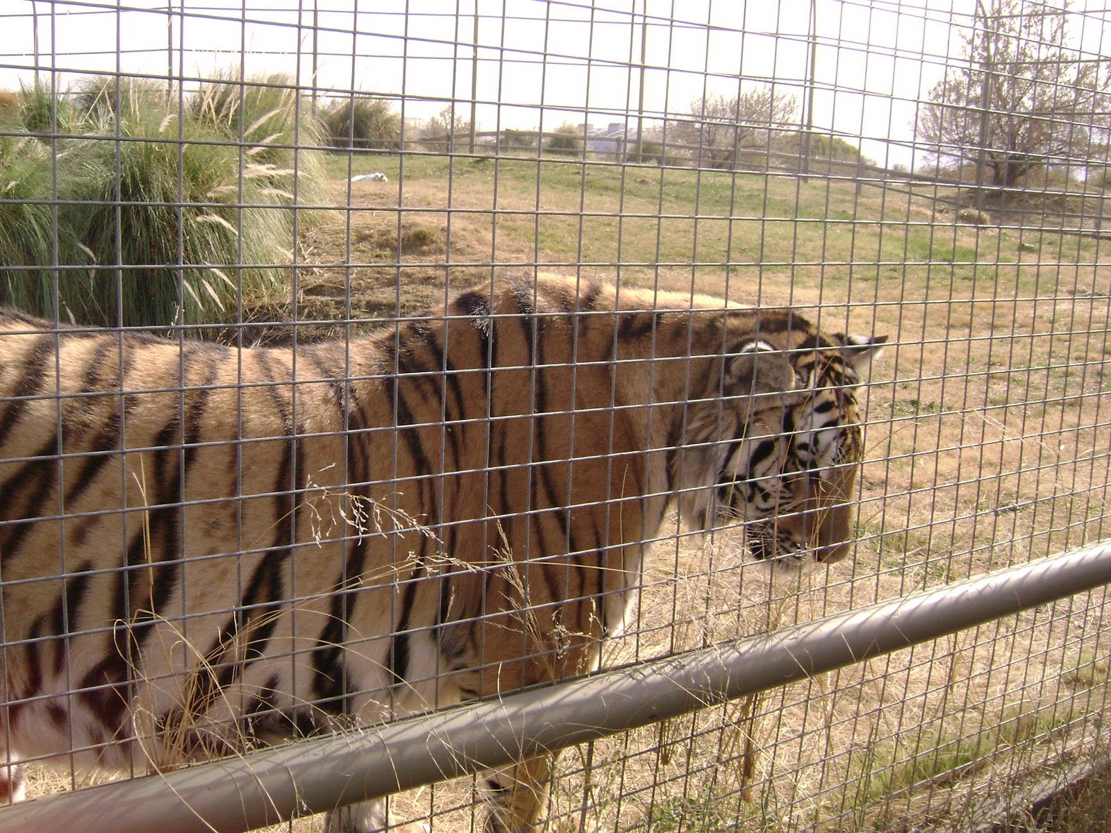 Descubra todo sobre Allen Río Negro en Argentina