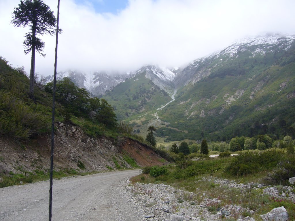 Alumine Neuquen: ubicación, lugares turísticos, lago y más