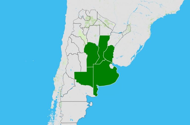 Region Pampeana Argentina: caracteristicas, clima, provincias y más